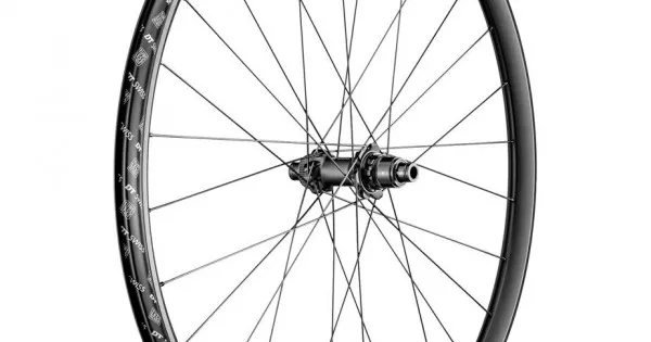 DT Swiss EX 1700 wheel, 30 mm rim, 12 x 148 mm BOOST axle , 29 inch ...